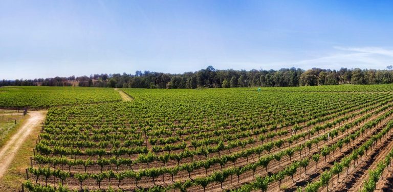 Contact Us - Esparza Enterprises